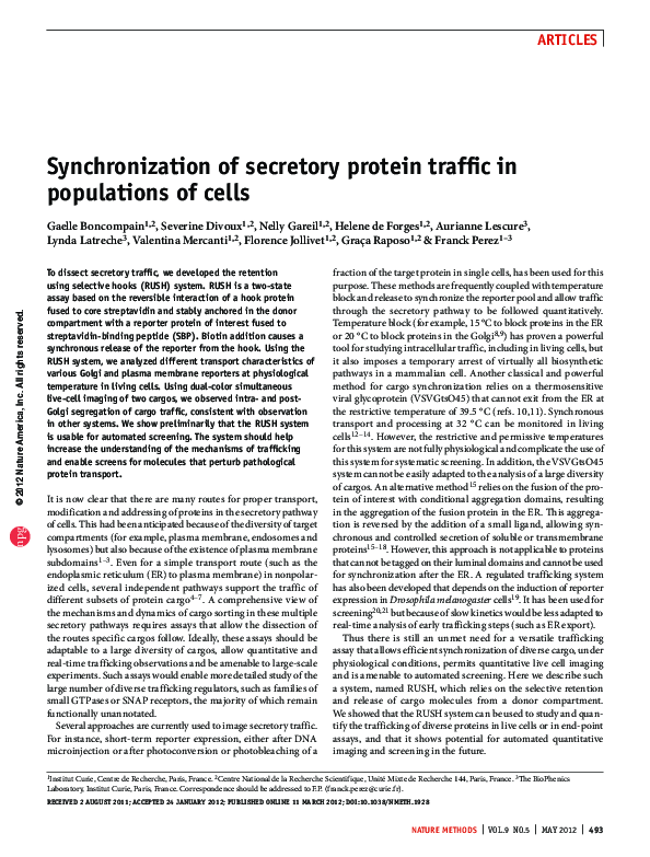 (PDF) Synchronization of secretory protein traffic in populations of cells