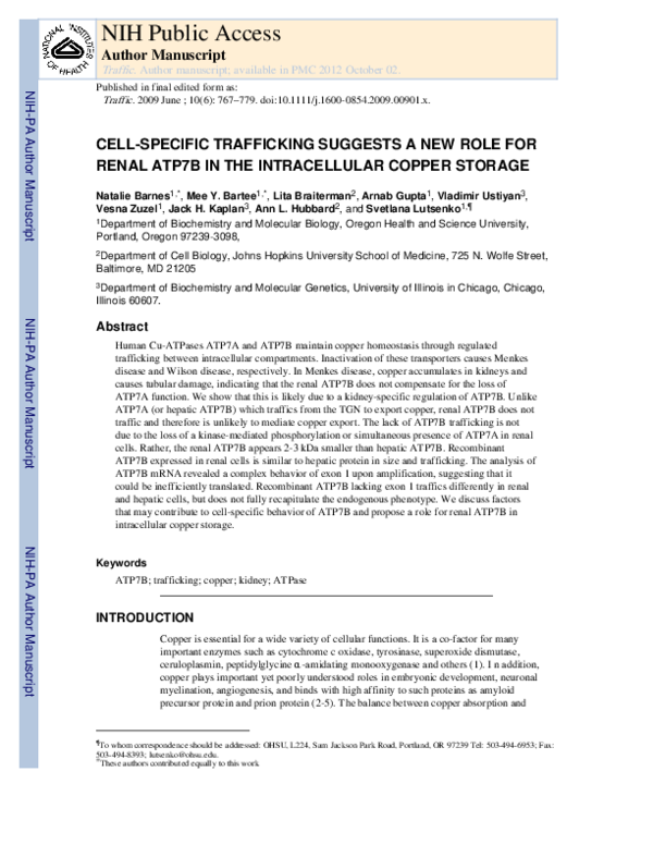 (PDF) Cell-Specific Trafficking Suggests a new role for Renal ATP7B in ...