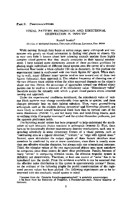 (PDF) Visual Pattern Recognition and Directional Orientation in Insects | Rudolf Jander ...