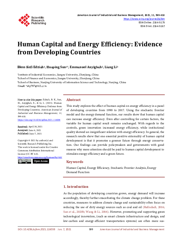 (PDF) Human Capital and Energy Efficiency: Evidence from Developing Countries