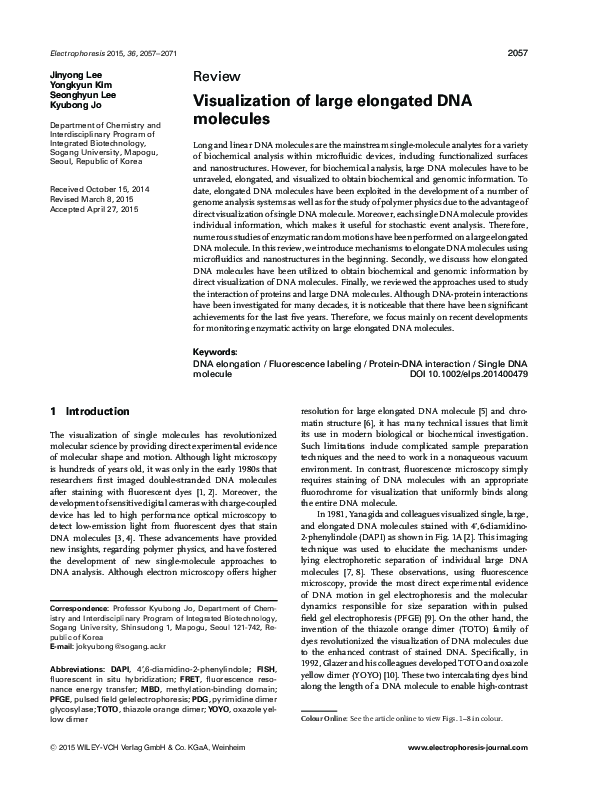 (PDF) Visualization of large elongated DNA molecules