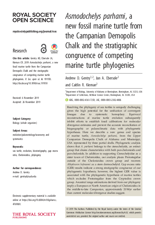 (PDF) Asmodochelys parhami , a new fossil marine turtle from the ...
