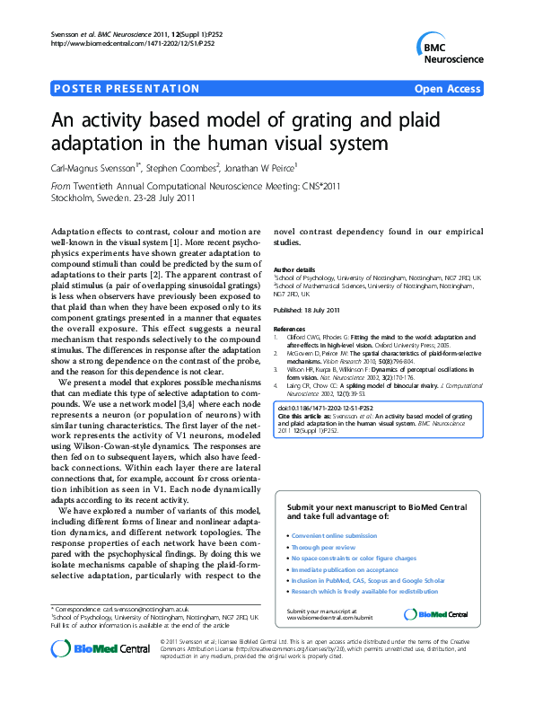 (PDF) An activity based model of grating and plaid adaptation in the human visual system