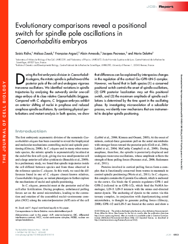 (PDF) Evolutionary comparisons reveal a positional switch for spindle ...