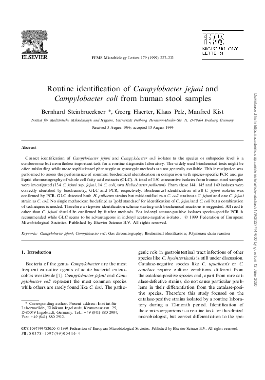 (PDF) Routine identification of Campylobacter jejuni and Campylobacter ...