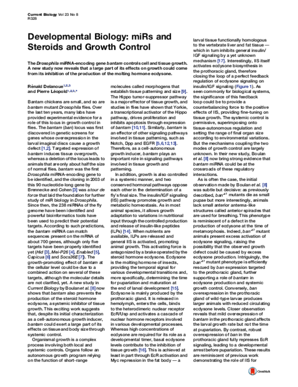 (PDF) Developmental Biology: miRs and Steroids and Growth Control