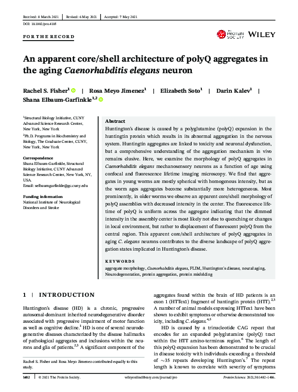 (PDF) An apparent core/shell architecture of polyQ aggregates in the ...