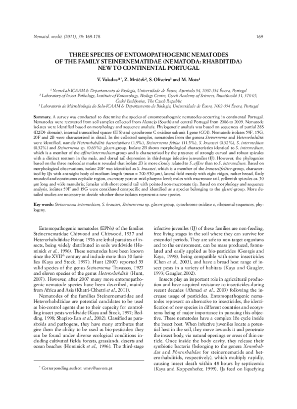 (PDF) Three species of entomopathogenic nematodes of the family Steinernematidae (Nematoda ...