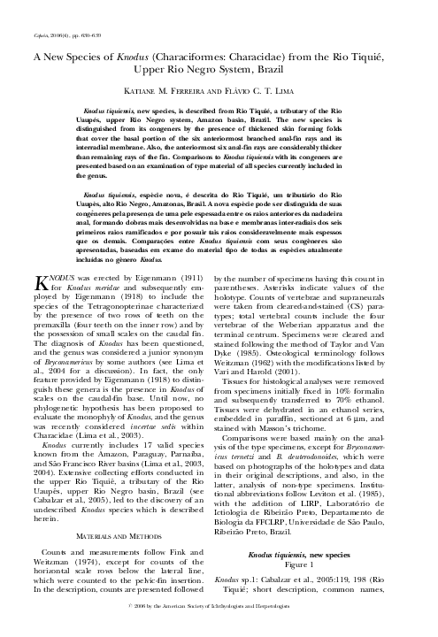 (PDF) A New Species of Knodus (Characiformes: Characidae) from the Rio ...
