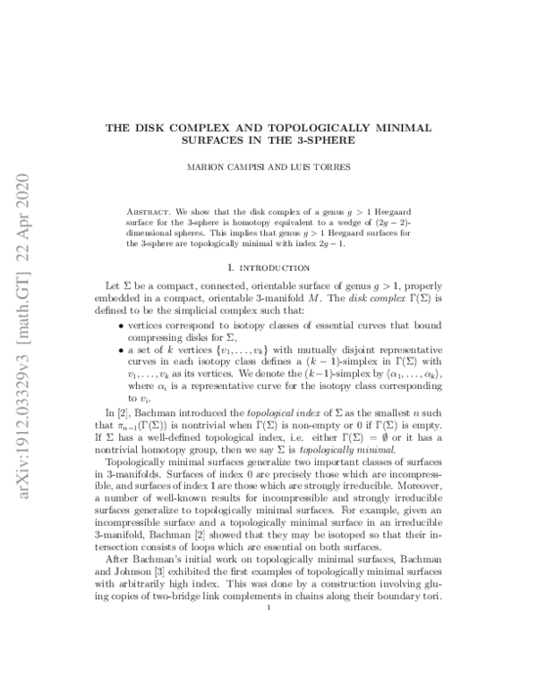 (PDF) The Disk Complex and Topologically Minimal Surfaces in the 3-Sphere