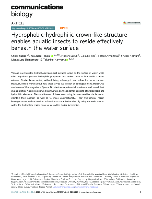 (PDF) Hydrophobic-hydrophilic crown-like structure enables aquatic ...