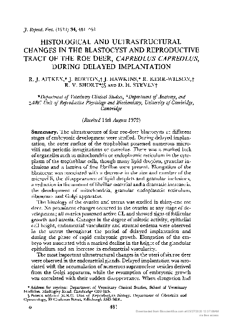 (PDF) Histological and Ultrastructural Changes in the Blastocyst and ...