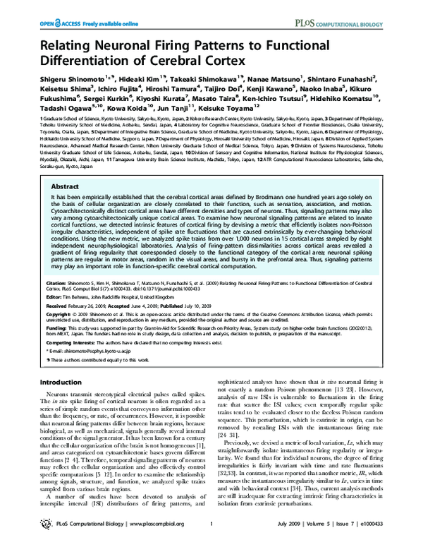 (PDF) Relating Neuronal Firing Patterns to Functional Differentiation of Cerebral Cortex