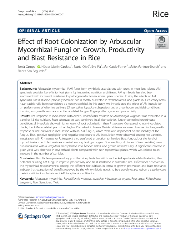 (PDF) Effect of Root Colonization by Arbuscular Mycorrhizal Fungi on Growth, Productivity and ...