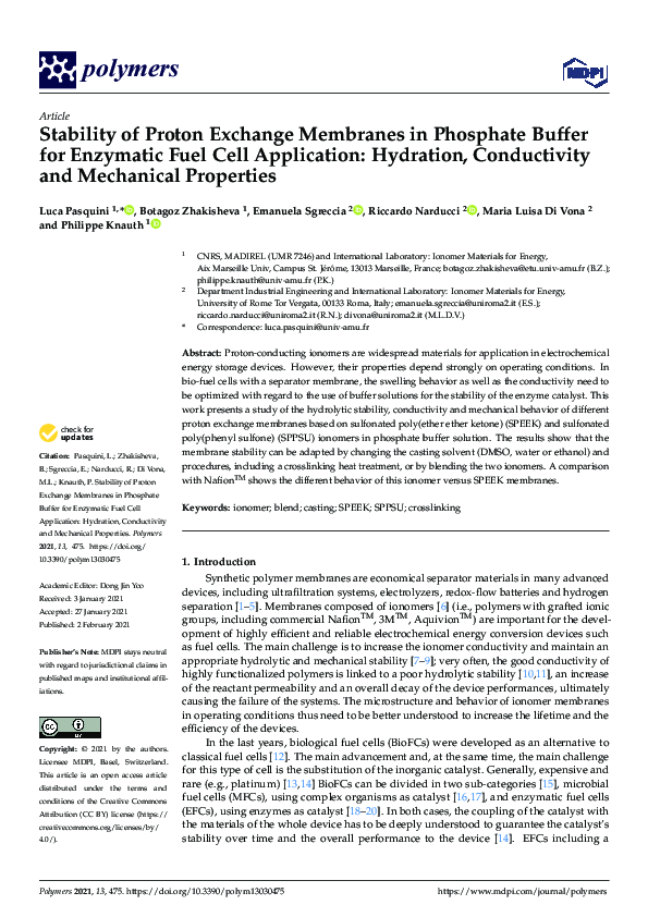 (PDF) Proton Exchange Membrane Stability in Phosphate Buffer
