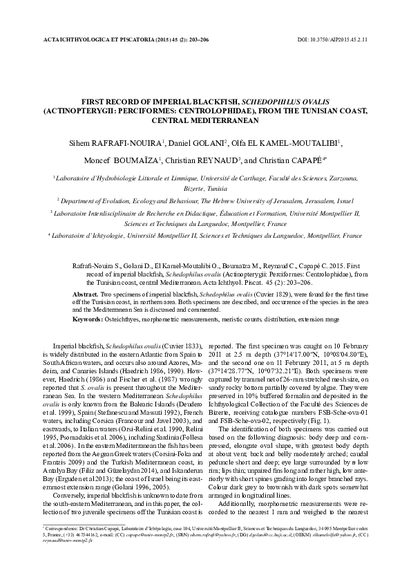 (PDF) irst record of imperial blackfish, Schedophilus ovalis ...