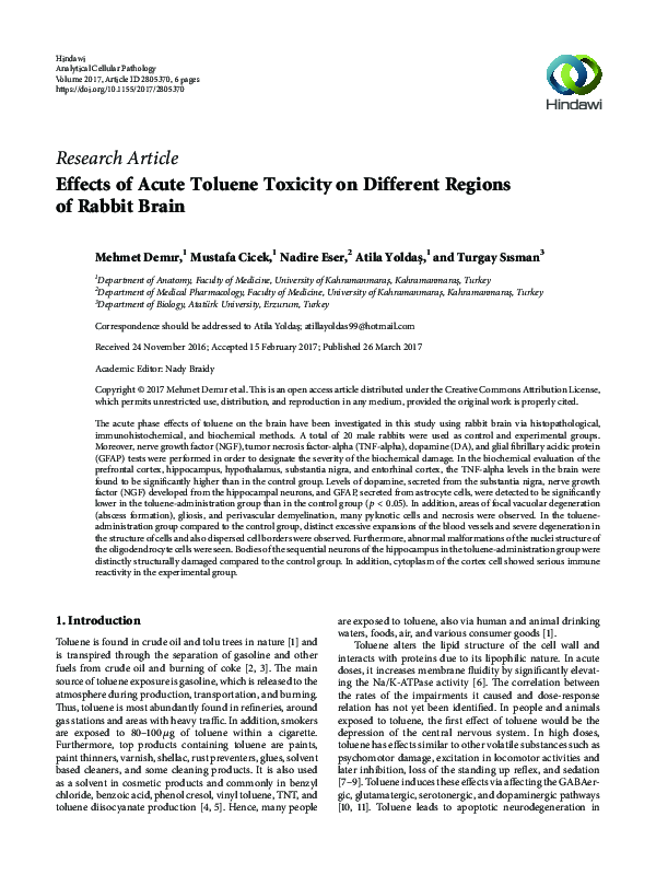 (PDF) Effects of Acute Toluene Toxicity on Different Regions of Rabbit ...