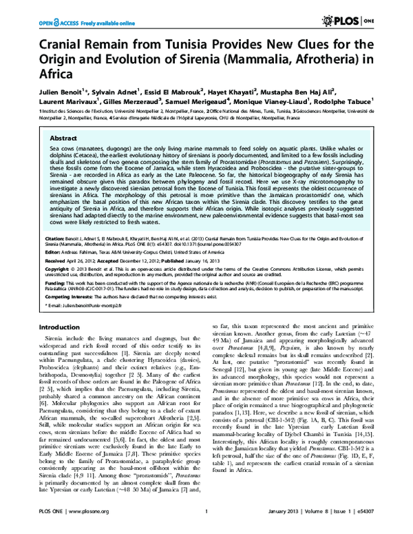 (PDF) Cranial Remain from Tunisia Provides New Clues for the Origin and ...