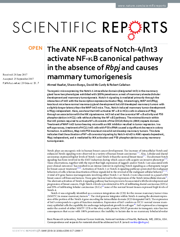 (PDF) The ANK repeats of Notch-4/Int3 activate NF-κB canonical pathway ...