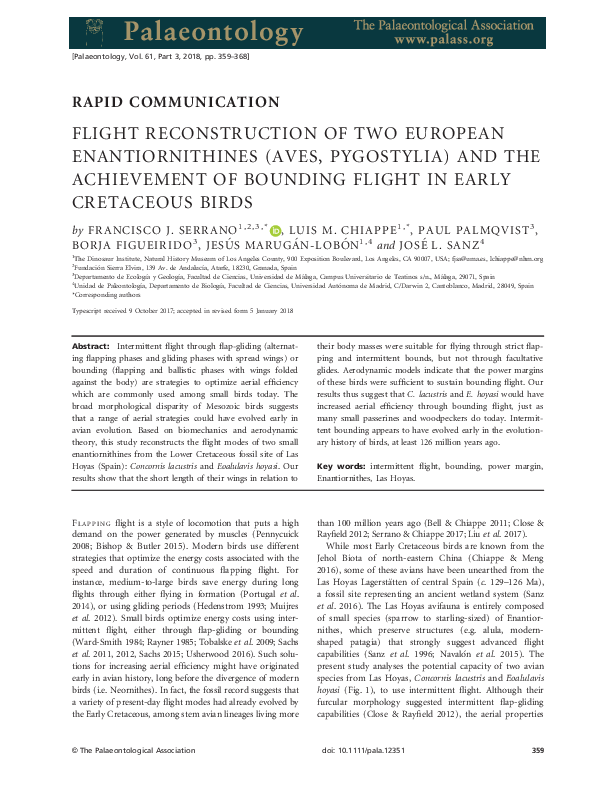 (PDF) Flight reconstruction of two European enantiornithines (Aves ...