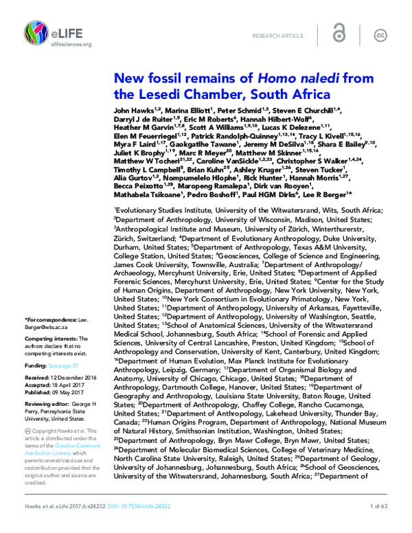 (PDF) New fossil remains of Homo naledi from the Lesedi Chamber, South ...