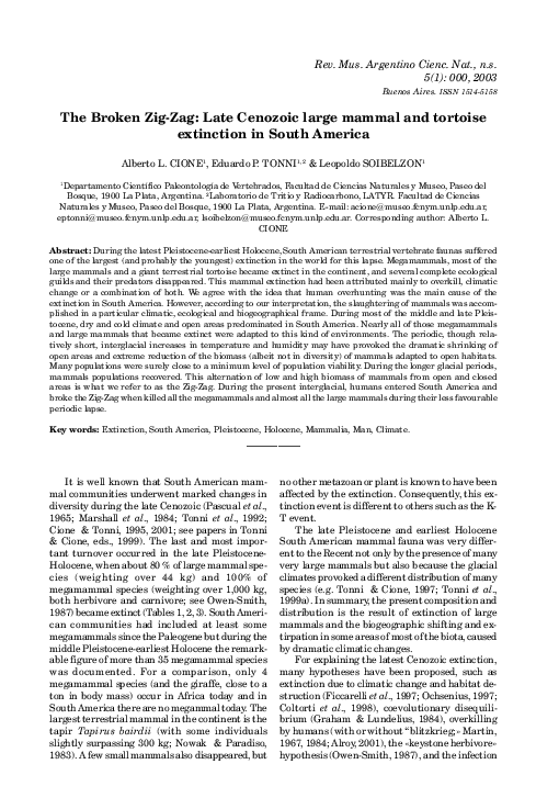 (PDF) The Broken Zig-Zag: Late Cenozoic large mammal and tortoise extinction in South America