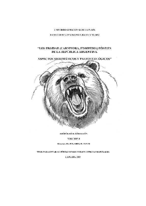 (PDF) Los ursidae (Carnivora: fissipedia) fósiles de la República Argentina