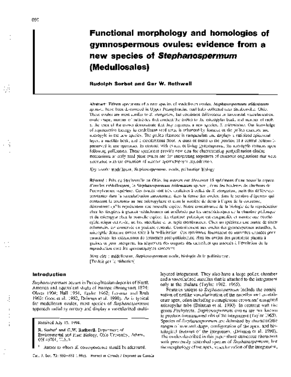 (PDF) Functional morphology and homologies of gymnospermous ovules ...