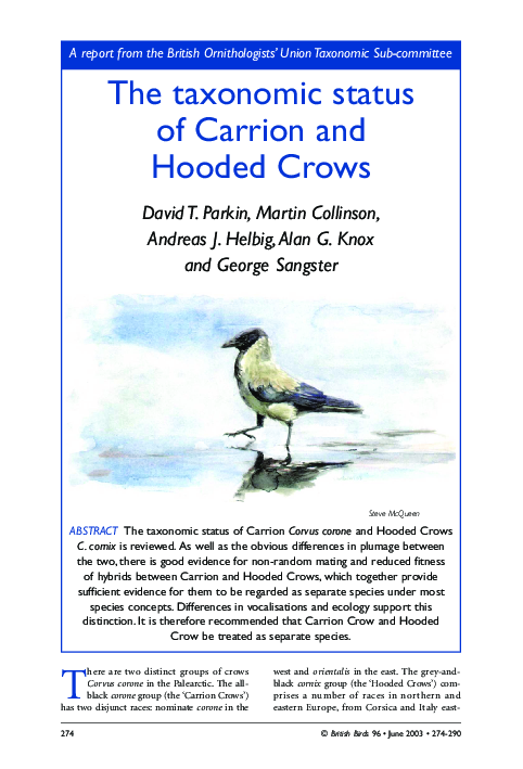 (PDF) The taxonomic status of Carrion and Hooded Crows | Martin ...