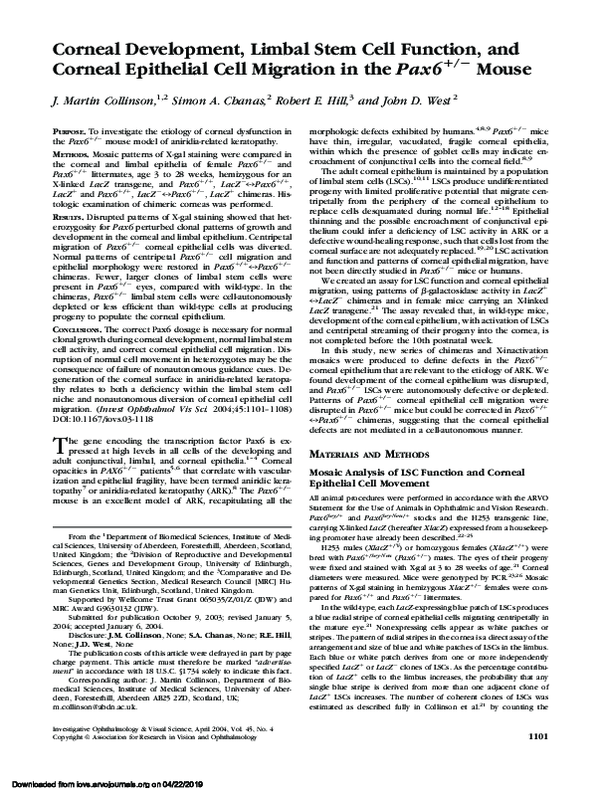 (PDF) Corneal Development, Limbal Stem Cell Function, and Corneal ...
