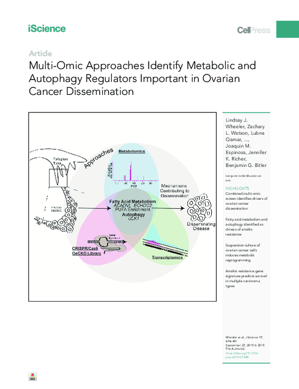 (PDF) Antioxidant activity of breast milk and commercial milks and formulas