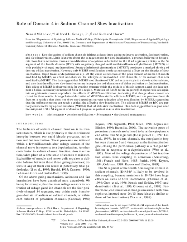 (PDF) Role of Domain 4 in Sodium Channel Slow Inactivation