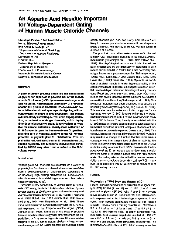 (PDF) An aspartic acid residue important for voltage-dependent gating ...