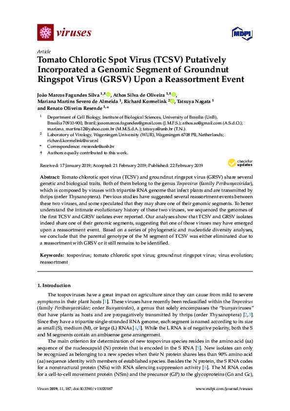 (PDF) Tomato Chlorotic Spot Virus (TCSV) Putatively Incorporated a ...