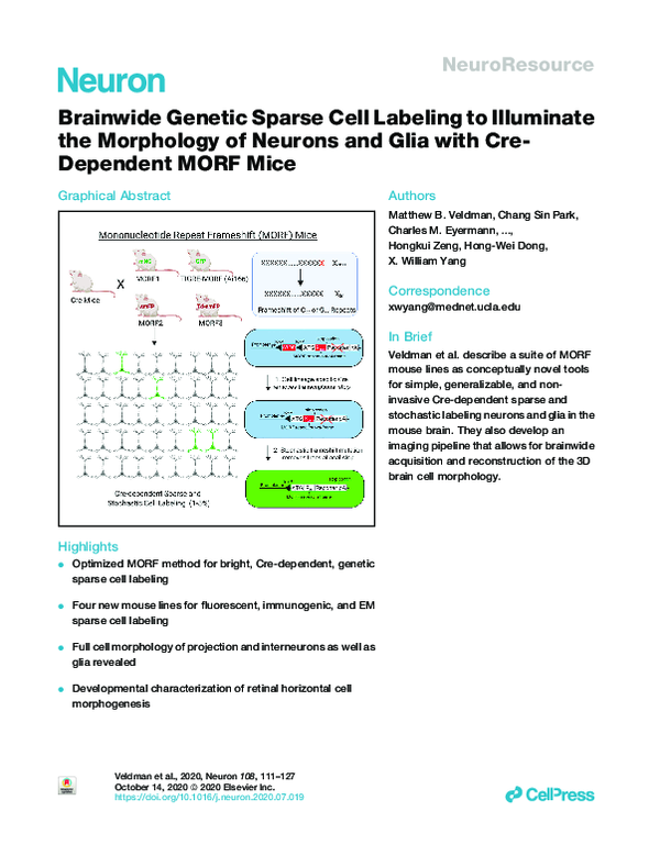 (PDF) Brainwide Genetic Sparse Cell Labeling to Illuminate the ...