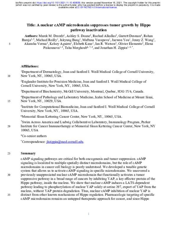 (PDF) A nuclear cAMP microdomain suppresses tumor growth by Hippo ...