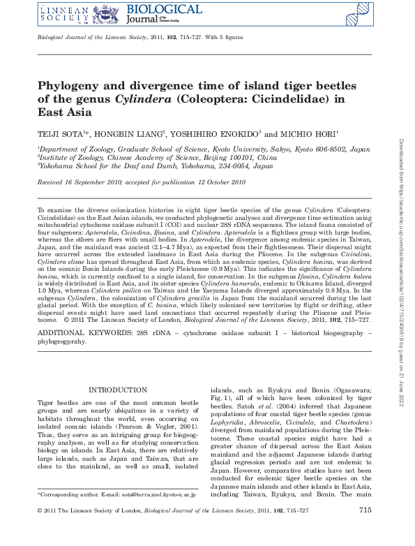 (PDF) Phylogeny and divergence time of island tiger beetles of the ...