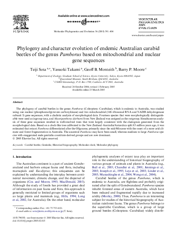 (PDF) Phylogeny and character evolution of endemic Australian carabid ...