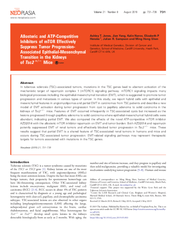 (PDF) mTOR Inhibitors Suppress EMT in TSC Tumors