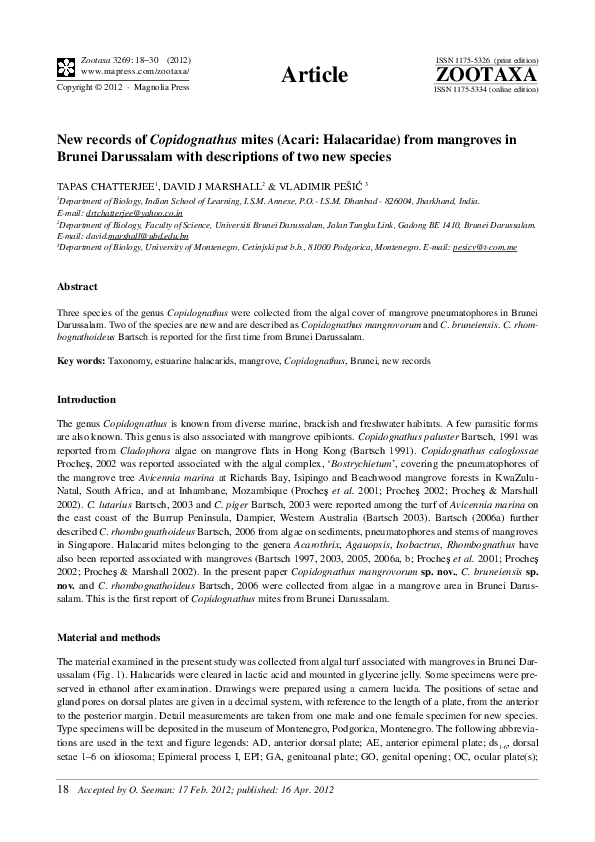 (PDF) New records of Copidognathus mites (Acari: Halacaridae) from ...