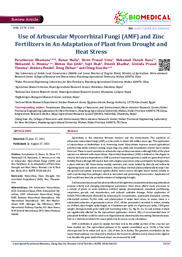 (PDF) Use of Arbuscular Mycorrhizal Fungi (AMF) and Zinc Fertilizers in An Adaptation of Plant ...