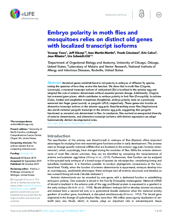 (PDF) Embryo polarity in moth flies and mosquitoes relies on distinct ...