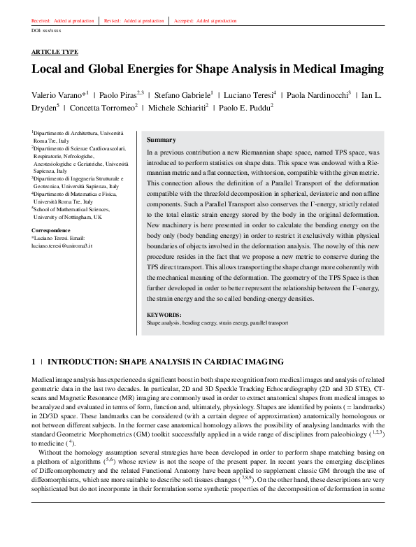 (PDF) Local and global energies for shape analysis in medical imaging
