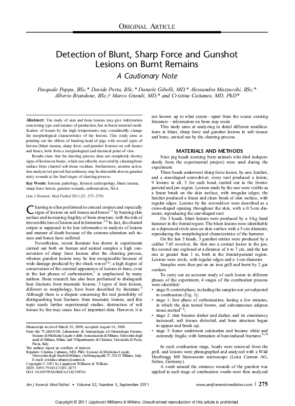 (PDF) Detection of Blunt, Sharp Force and Gunshot Lesions on Burnt Remains