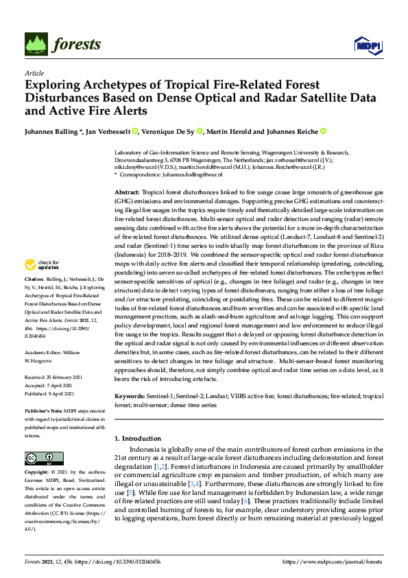 (PDF) Exploring Archetypes of Tropical Fire-Related Forest Disturbances ...