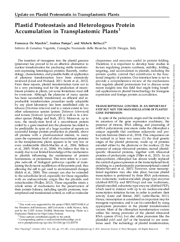 (PDF) Plastid Proteostasis and Heterologous Protein Accumulation in ...