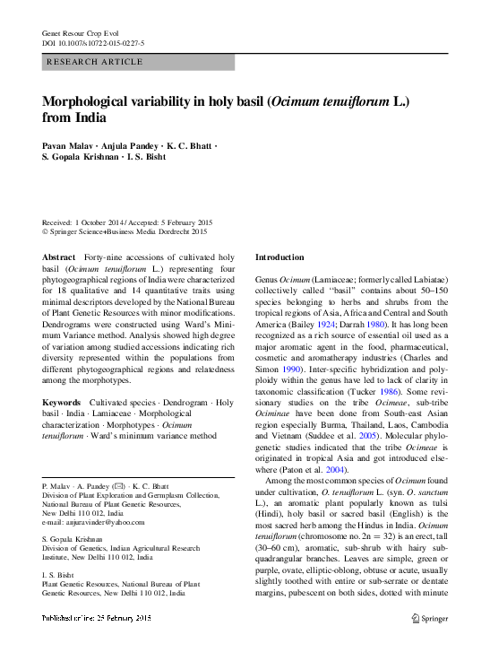 (PDF) Morphological variability in holy basil (Ocimum tenuiflorum L ...