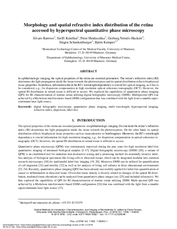 (PDF) Morphology and spatial refractive index distribution of the retina accessed by ...