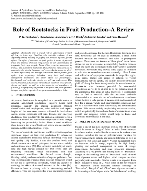 (PDF) Role of Rootstocks in Fruit Production-A Review