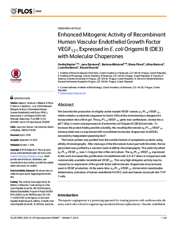(PDF) Enhanced Mitogenic Activity of Recombinant Human Vascular ...